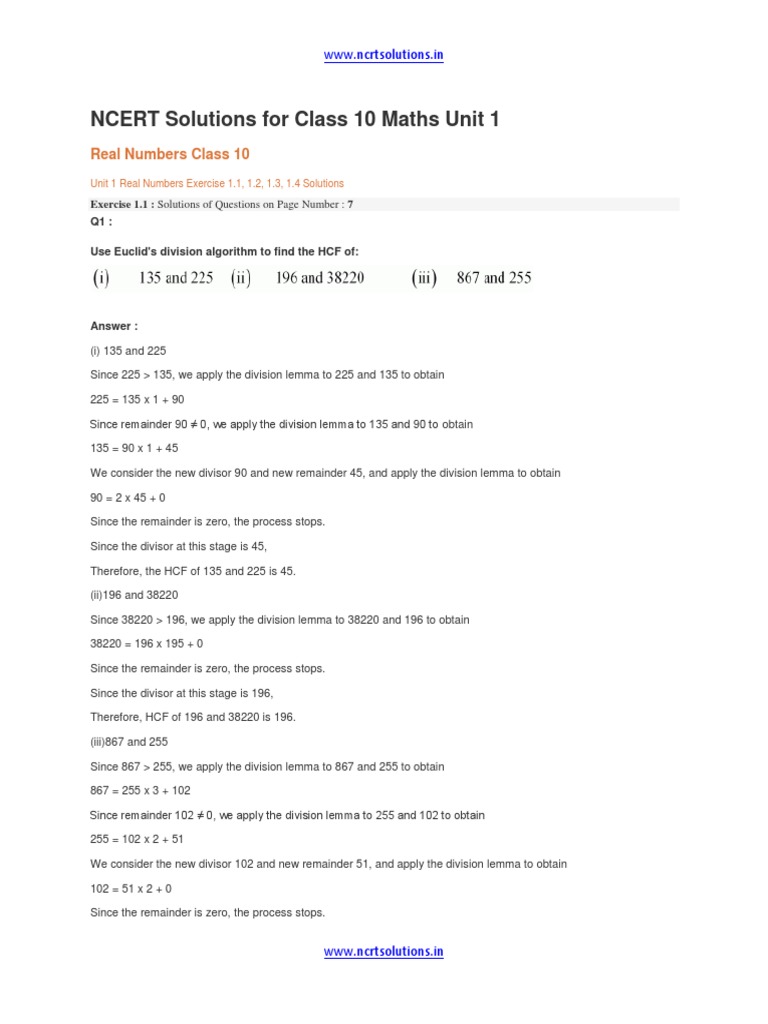Class 10 Maths: Real Numbers Solutions | PDF | Rational Number ...