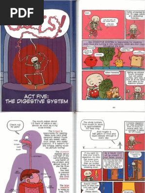 Digestive System Comic Strip