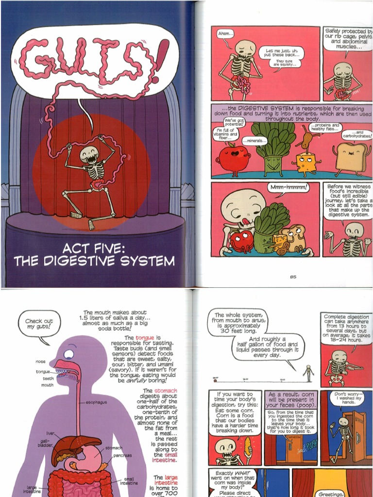 Digestive System Cartoon Strip
