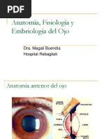 Anatomía y Patología de La Papila Óptica | PDF | Retina | Ojo humano