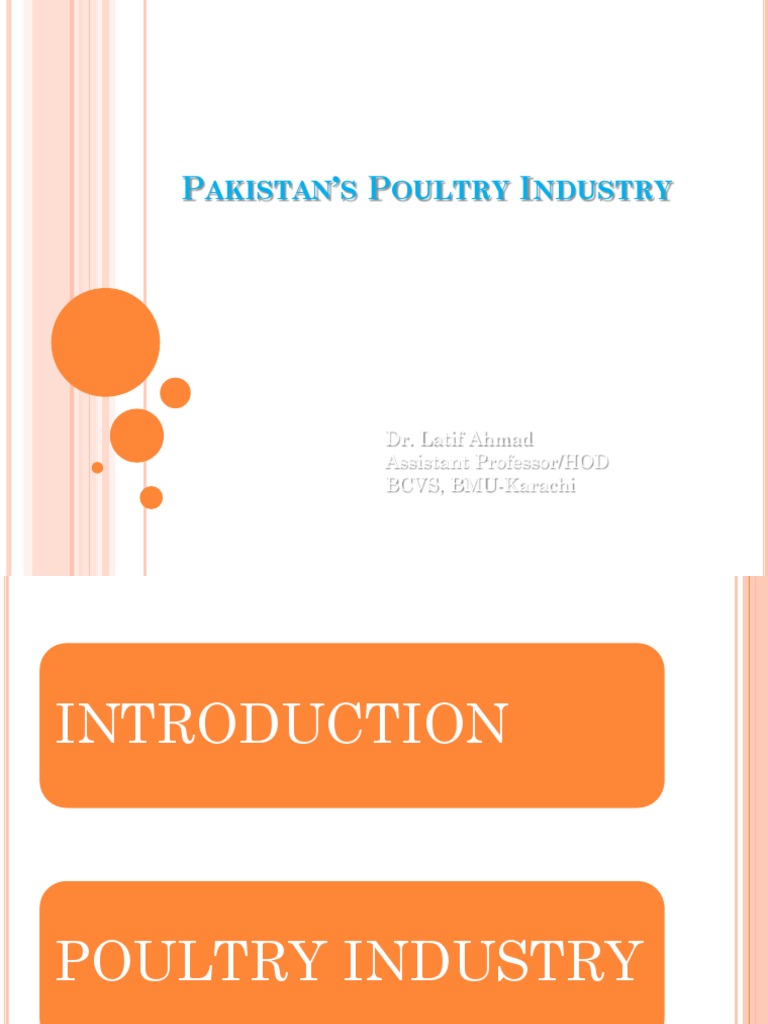 Pakistan Poultry Industry | PDF | Poultry | Poultry Farming