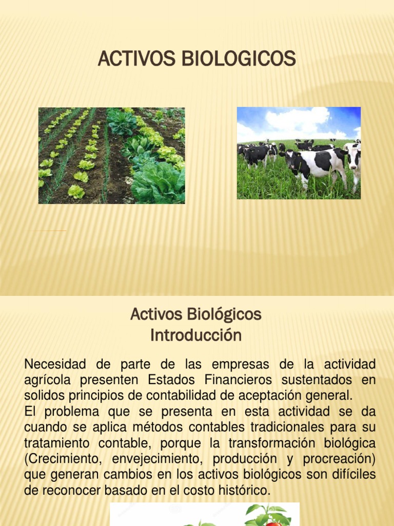 Activos Biologicos | Agricultura | Mercado (economía)