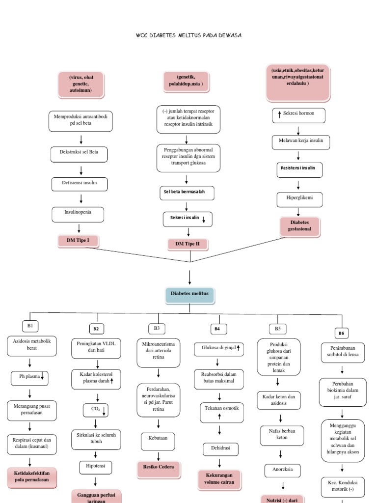 Woc Diabetes Melitus | PDF
