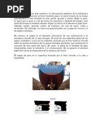 Definición y tipos de popa en barcos | PDF | Barcos | Crucero
