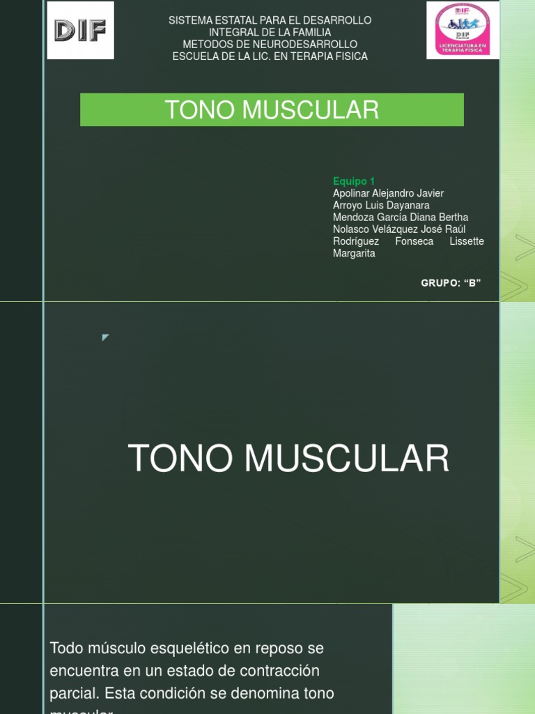 Tono y Alteraciones Musculares | PDF | Músculo | Neurona