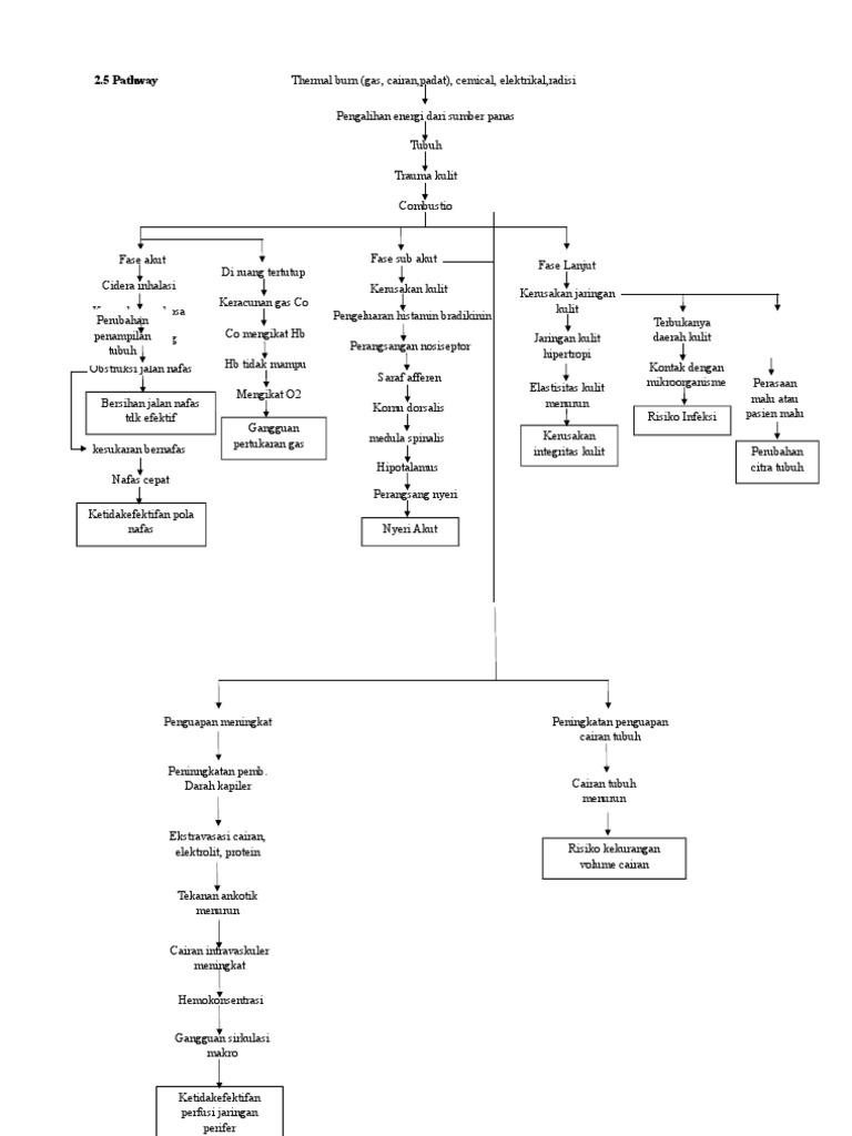 Pathway Luka Bakar | PDF