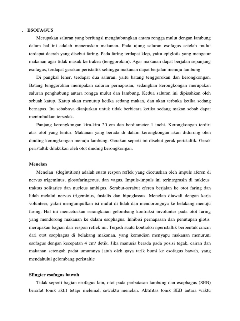 Fungsi dan Struktur Esofagus | PDF