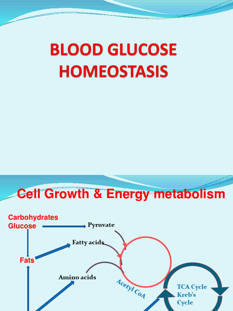 14 - Blood Glucose Homeostasis | PDF | Insulin | Glucose