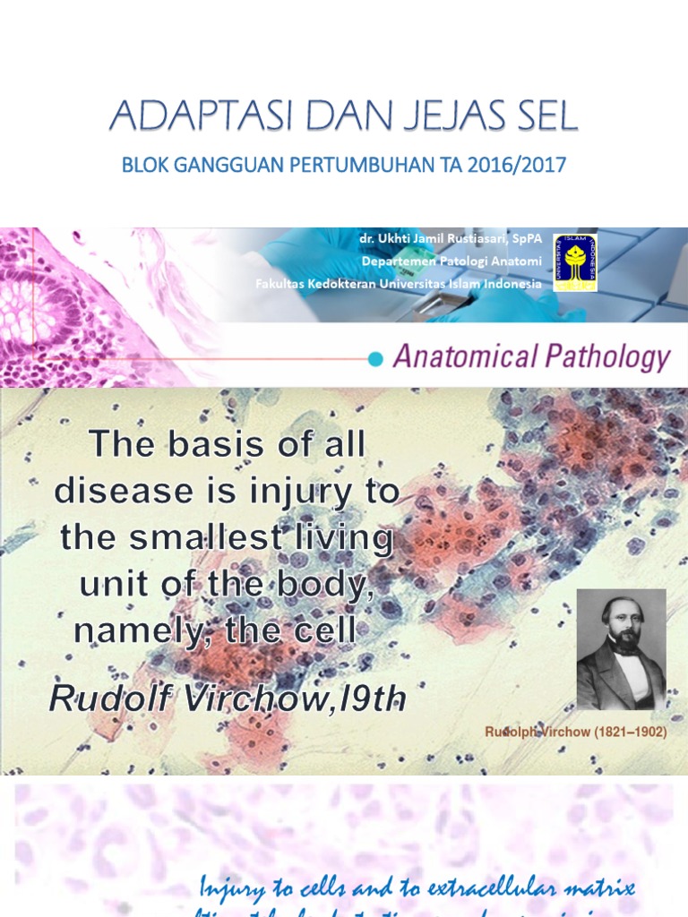 Jejas Dan Mekanisme Jejas | PDF