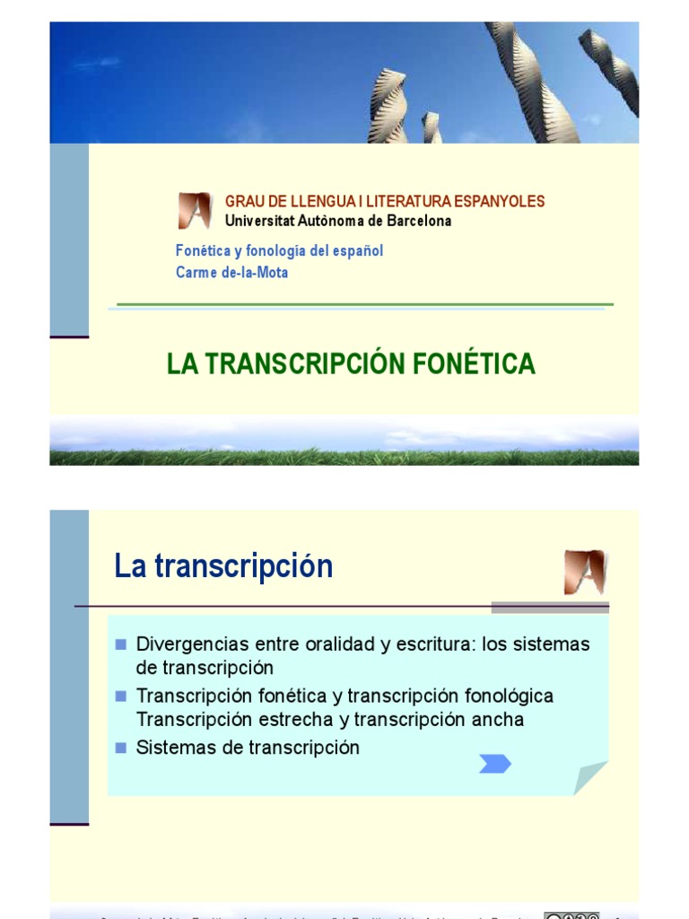 T4 Transcripción Fonética Pdf Fonología Fonema