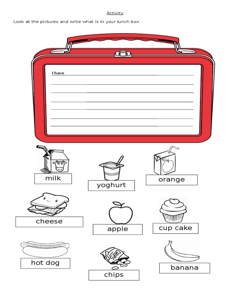 Lunch Box Contents Activity Guide | PDF