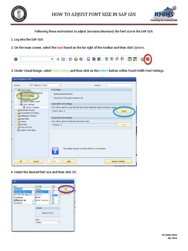 Sap Gui Font Size | PDF