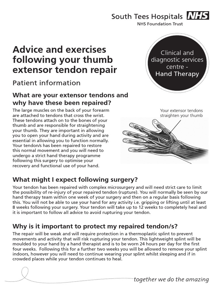 MICB4742 Thumb Extensor Tendon Repair | PDF | Tendon | Hand
