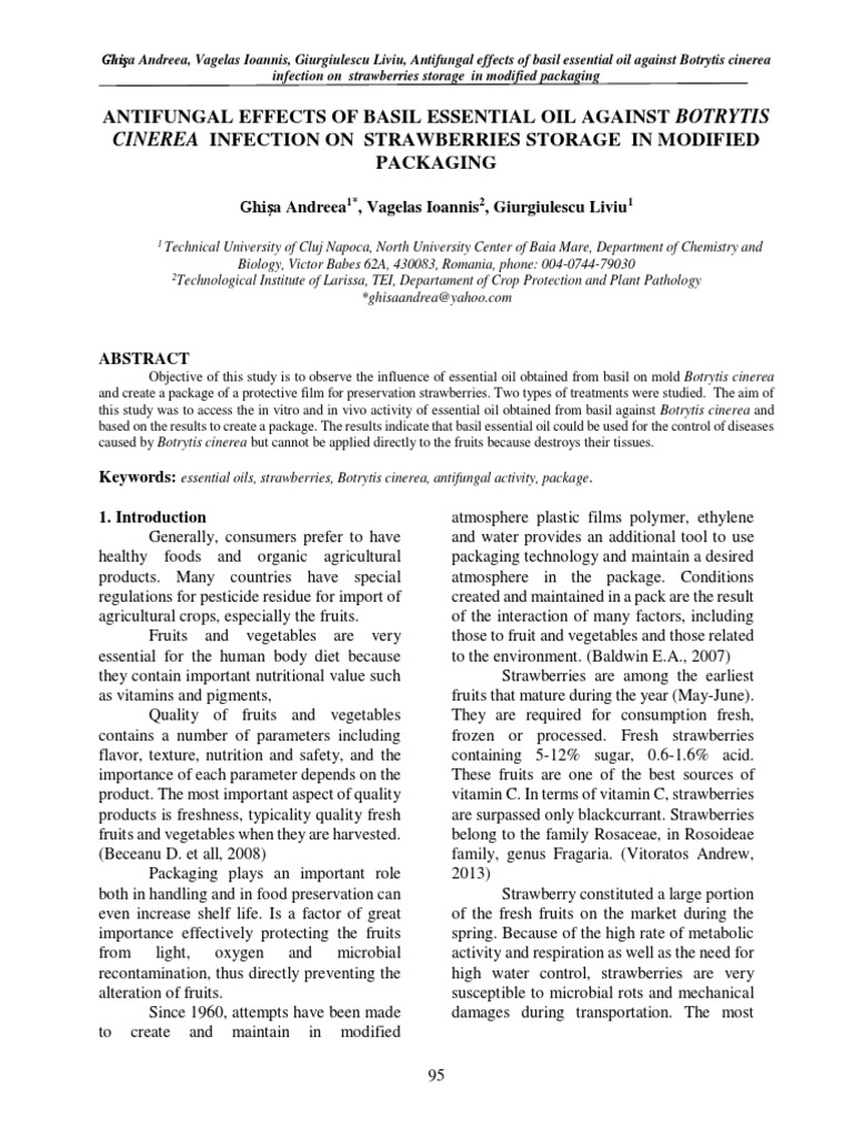 Antifungal Effects of Basil Essential Oil Against Botrytis Cinerea ...