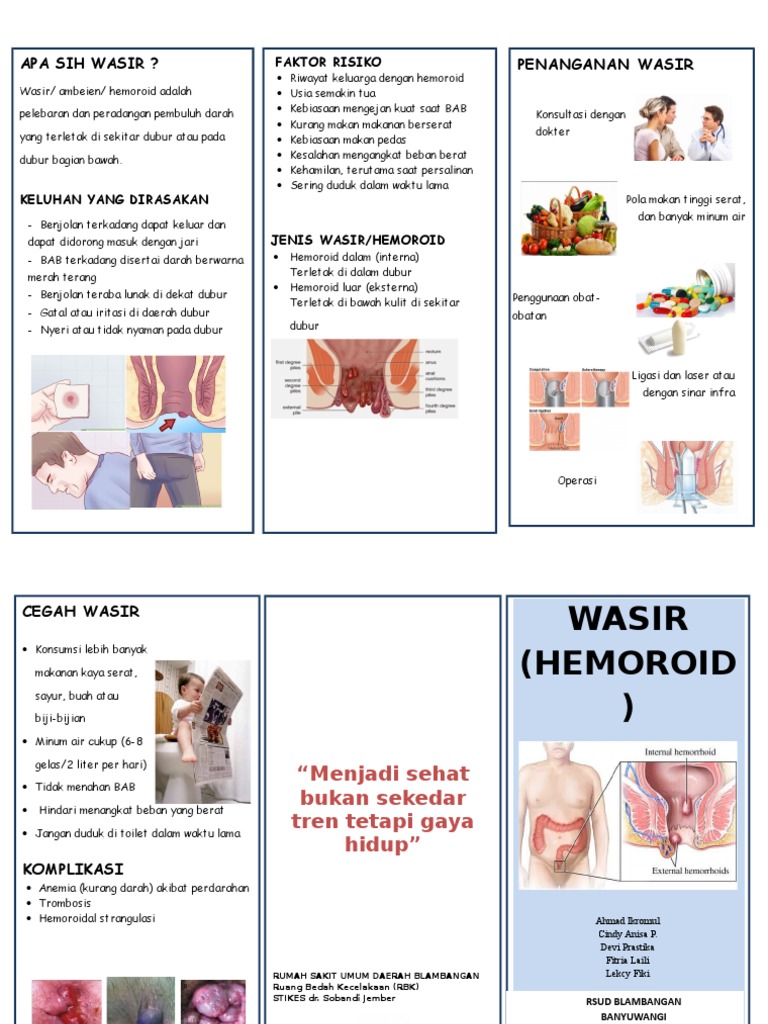 Leaflet Penyuluhan Hemoroid Revisi | PDF