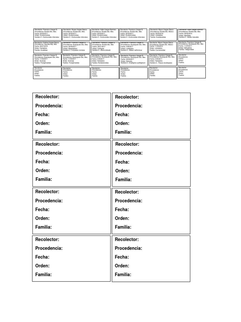 Etiquetas para Colección Entomológica | PDF | Insectos | Insectos y humanos