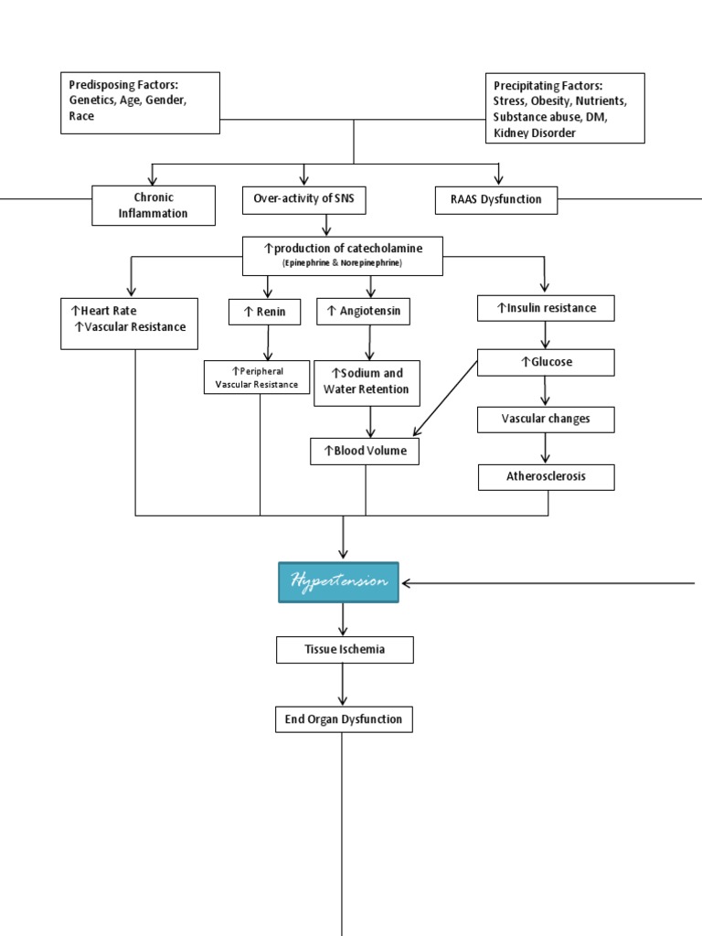 Pathophysiology Hypertension | PDF | Ischemia | Blood Vessel