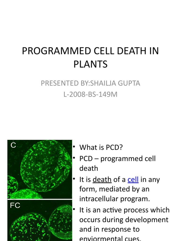 Programmed Cell Death in Plants: Presented By:Shailja Gupta L-2008-BS ...