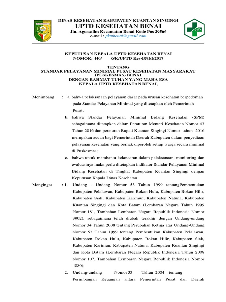 SK Standar Pelayanan Minimal Neli | PDF