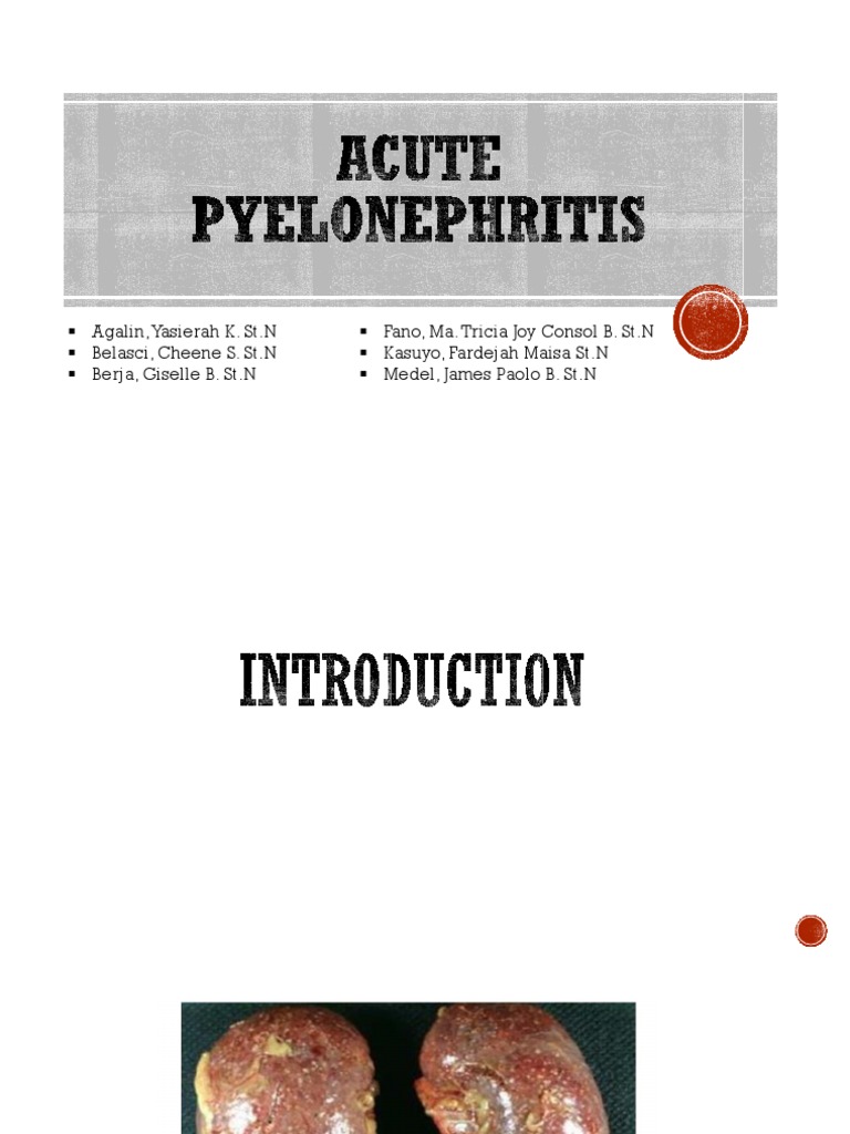 Acute Pyelonephritis Case Study | PDF | Kidney | Urinary System