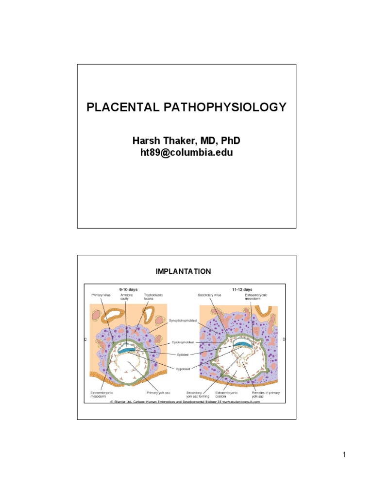 Placental Color | PDF
