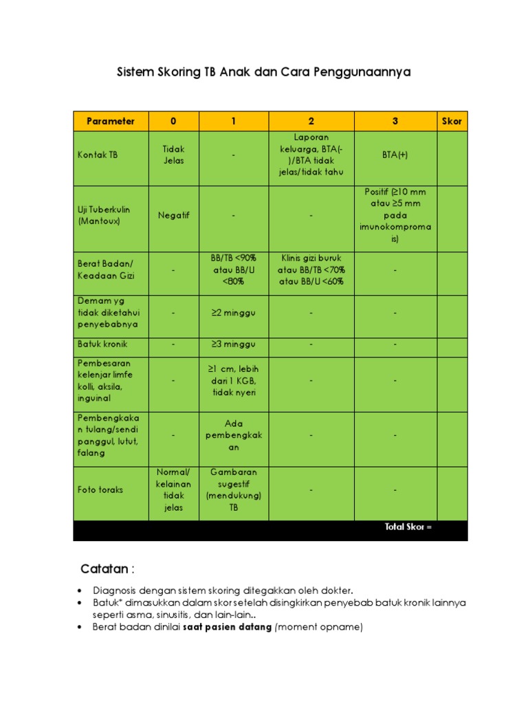 Skoring TB Anak: Panduan dan Interpretasi | PDF