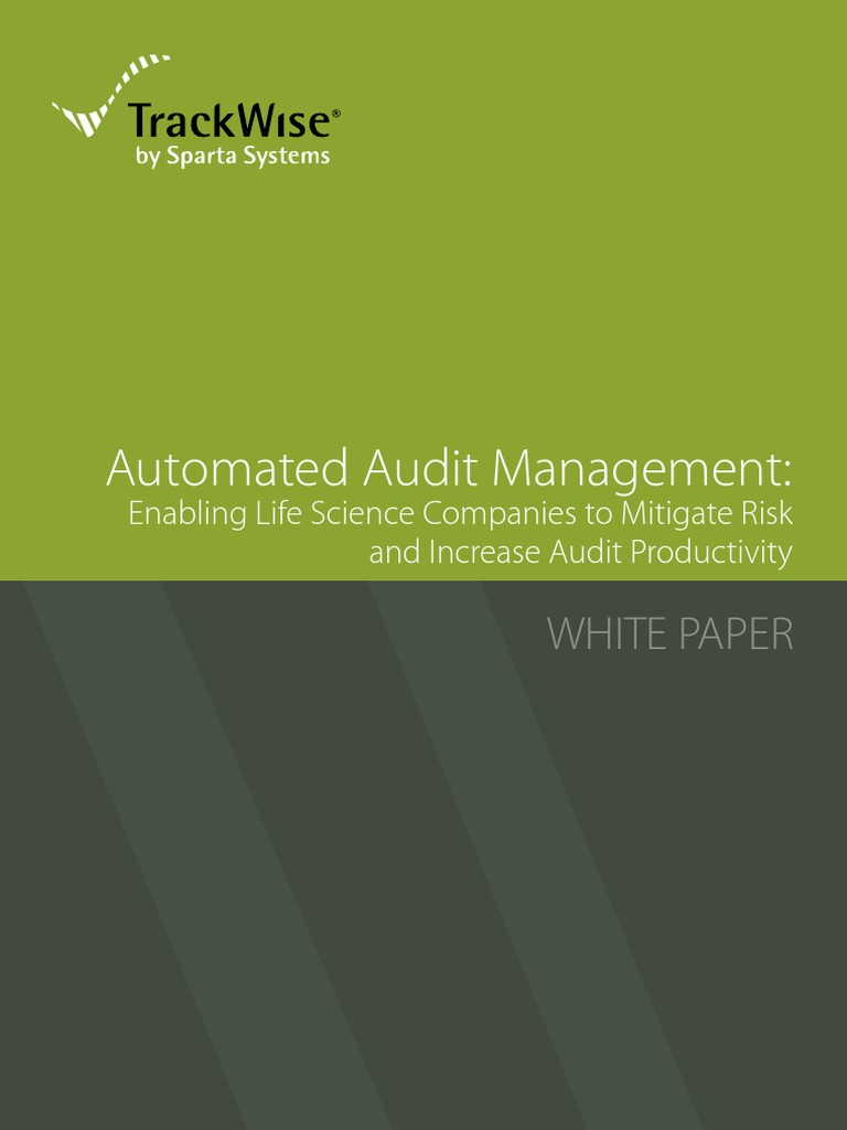 Automated Audit Management | PDF | Audit | Automation