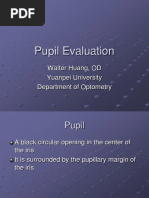 Pupillary Pathway, Pupillary Abnormalities, RAPD | PDF | Nervous System ...