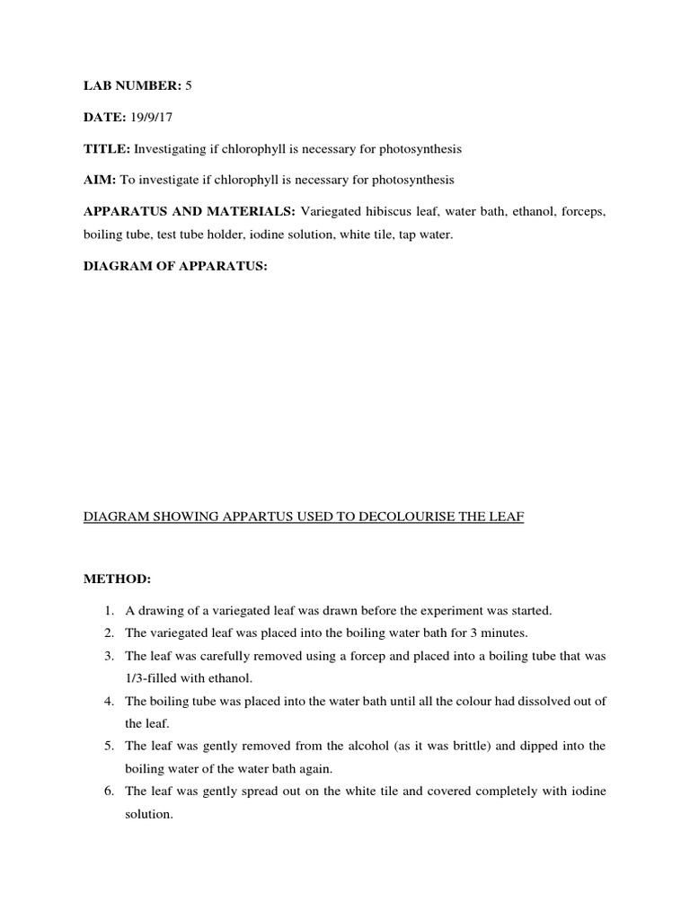 Biology Lab 5 Final | PDF | Chlorophyll | Photosynthesis