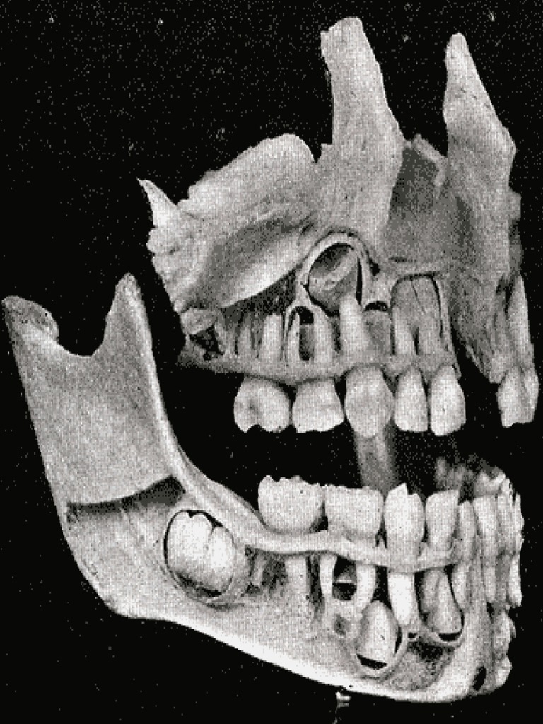 gray's anatomy illustrations.pdf