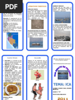 Historial y Significado Del Escudo de Ica | PDF | Los símbolos | Naturaleza