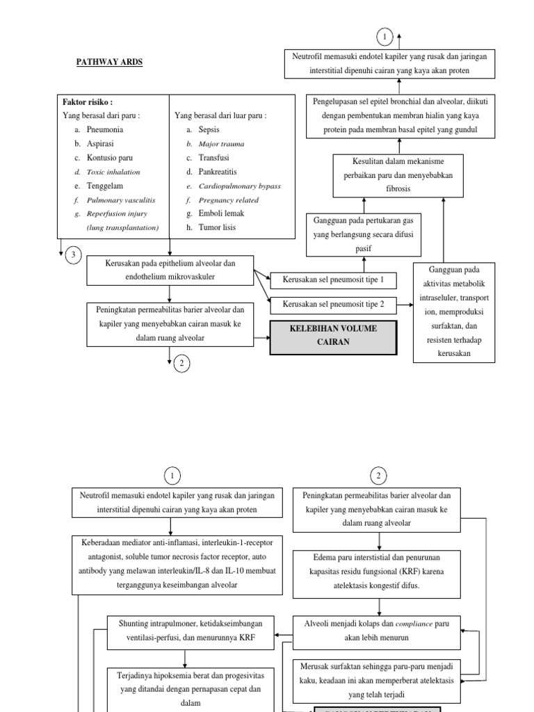 Pathway Ards | PDF