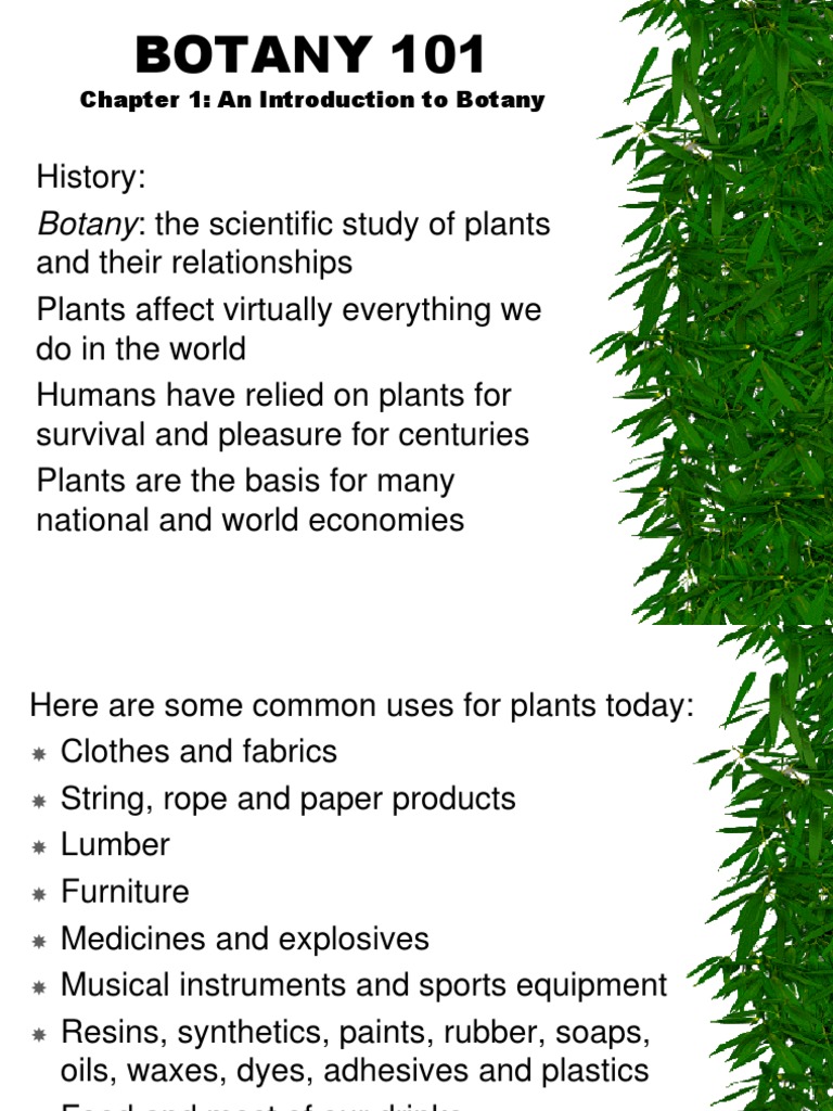 Botany: The Scientific Study of Plants: Chapter 1: An Introduction To ...