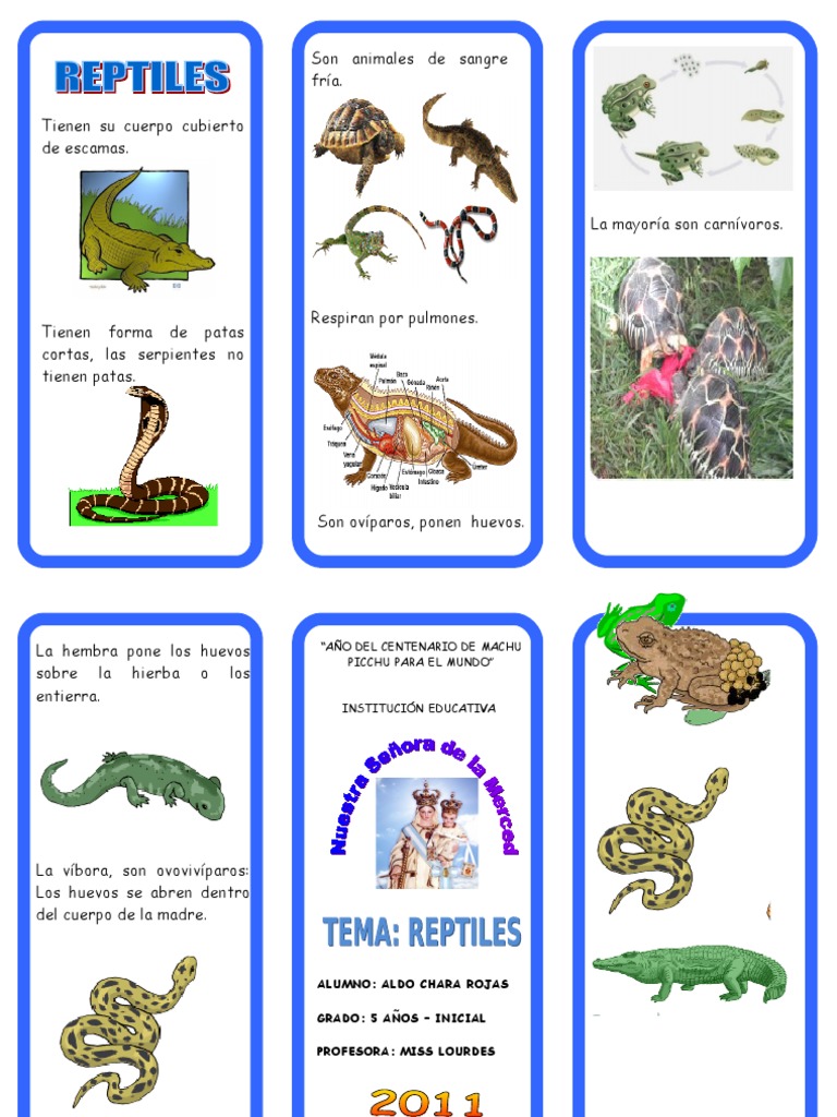 Triptico Reptiles | Descargar gratis PDF | Huevo | Zoología
