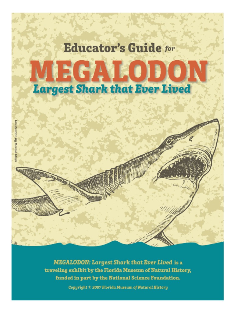 Megalodon Educators Guide | PDF | Sharks | Homo Sapiens
