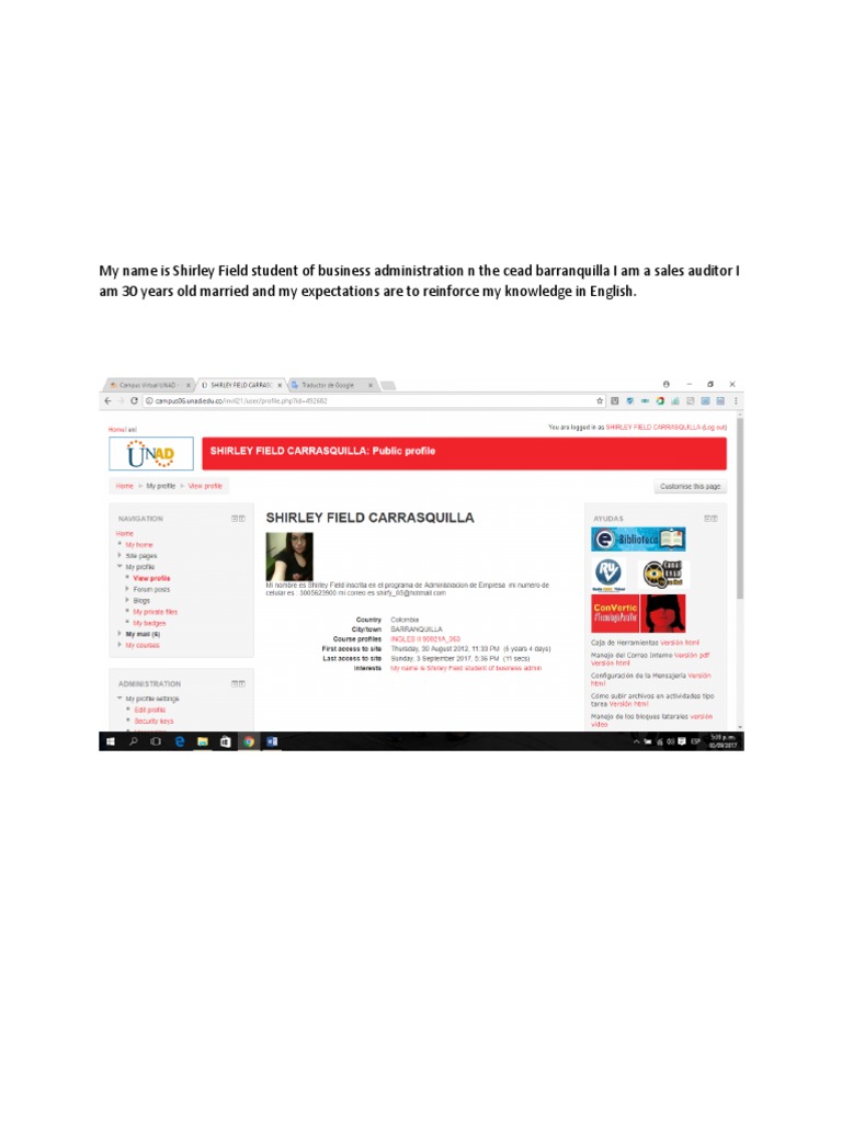 Perfil Ingles | PDF