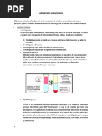 Pruebas Bioquimicas para Enterobacterias | PDF | Química | Las bacterias