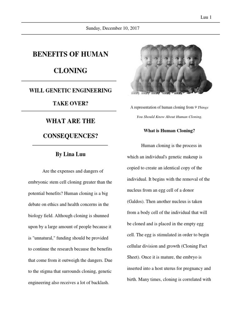 Benefits and Risks of Human Cloning | PDF | Cloning | Genetic Engineering