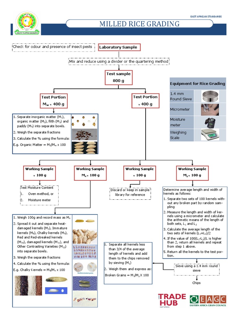 Milled Rice Grading Chart | PDF | Nature | Nature