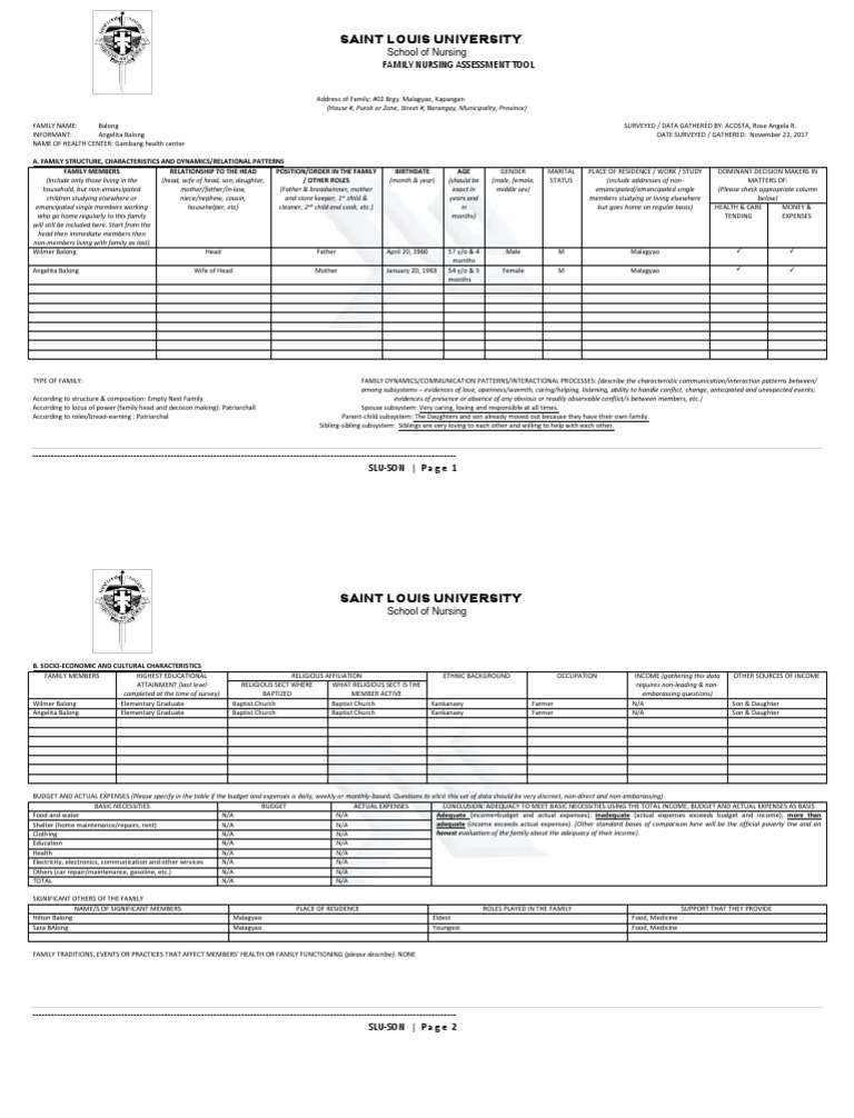 Family-Nursing-Assessment-Tool-IDB - Docx PAGE 1 and 2 CUBA BABIES ...