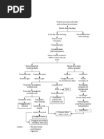 Pathway CA Gaster | PDF