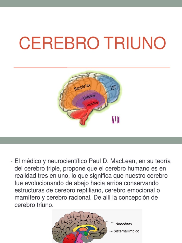 Cerebro Triuno | PDF | Las emociones | Cerebro