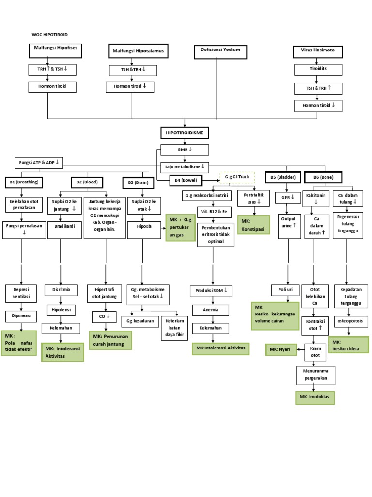 WOC Hipotiroid: Dampak dan Gejala | PDF