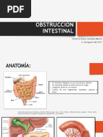 2 Obstruccion Intestinal Por Bridas y Adherencias | PDF | Medicina ...