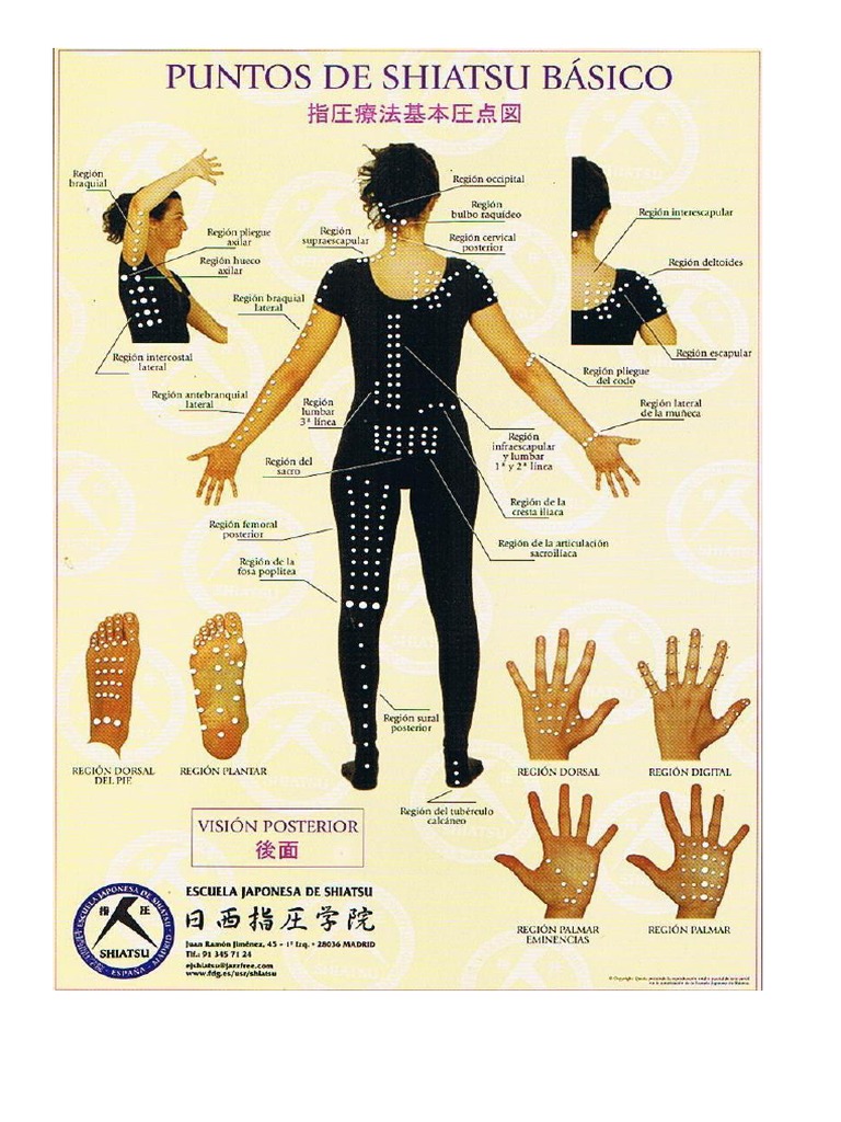 Mapa Shiatsu | PDF