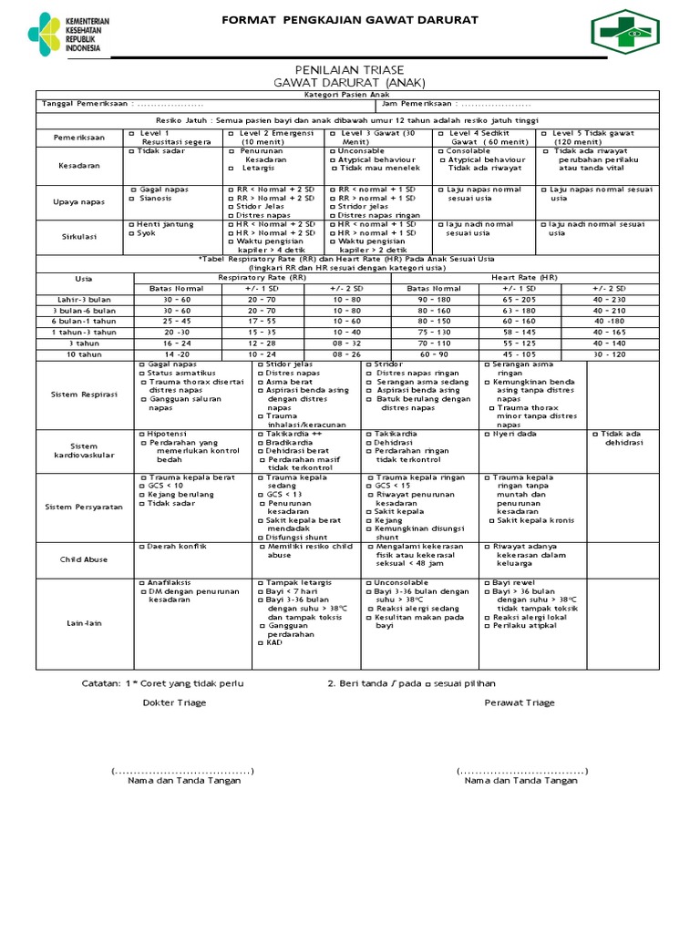 Format Pengkajian Triase | PDF