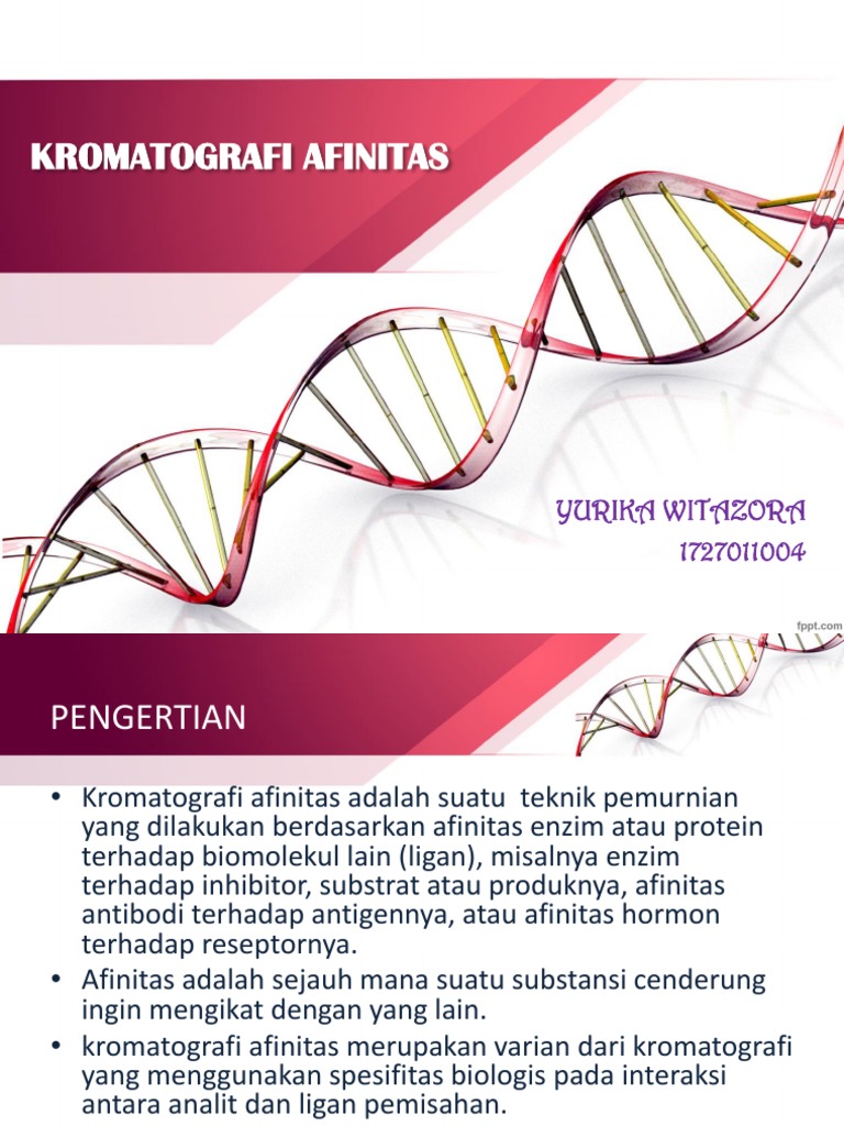 PPT-Kromatografi Afinitas | PDF