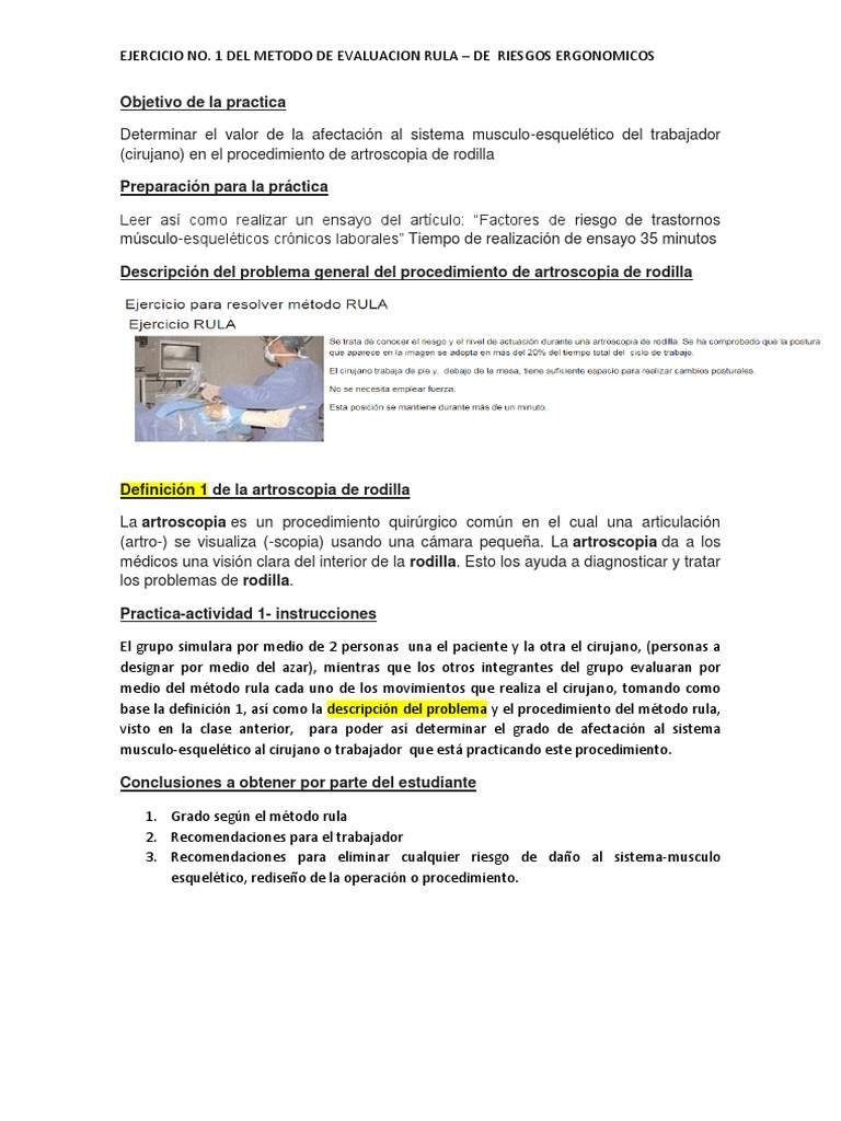 Practica 1 Ergonomia Rula | PDF