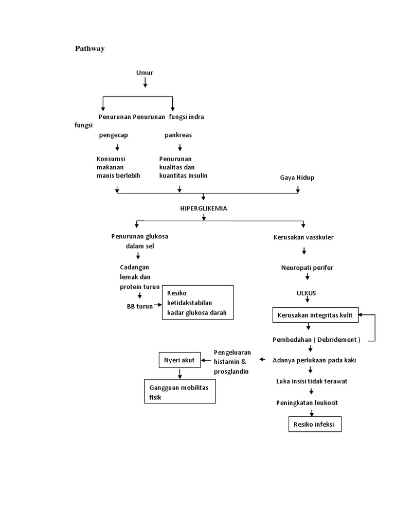 Poli Pathway | PDF