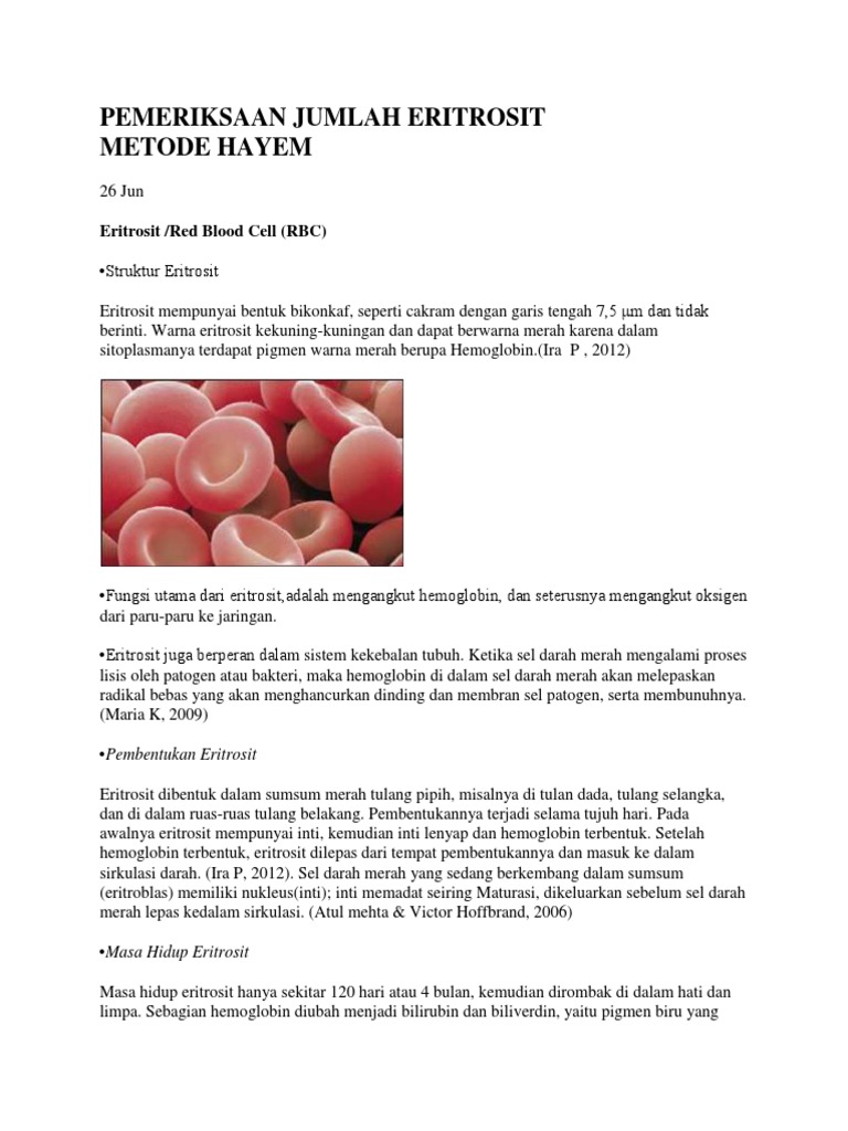 Pemeriksaan Jumlah Eritrosit Metode | PDF